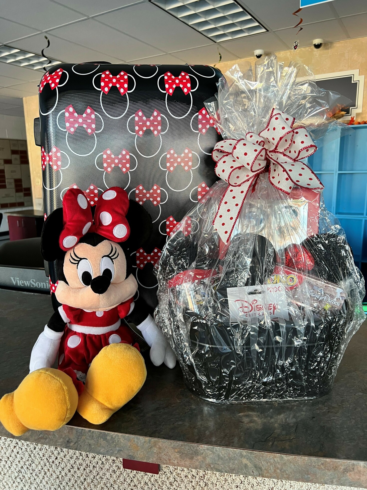 Disney Basket - 2022 Appreciation Dinner!